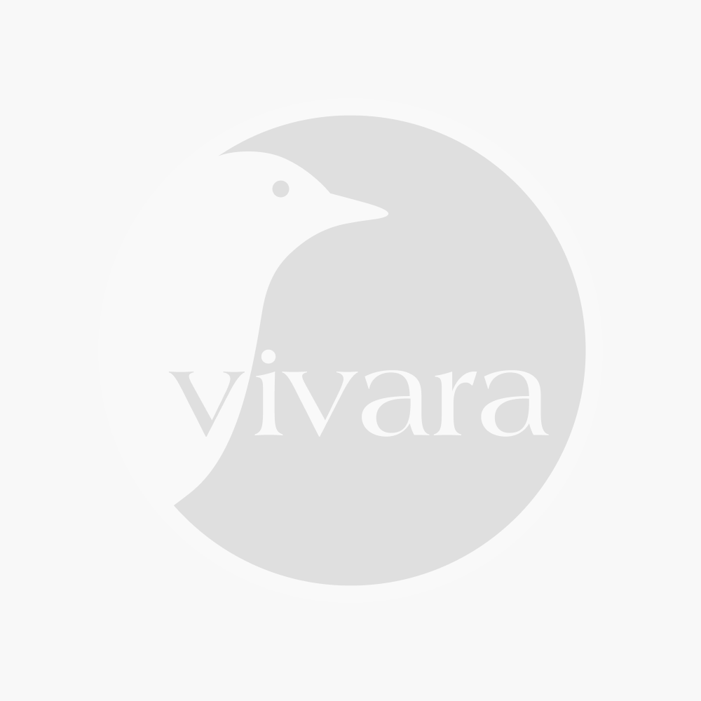 Insectenhotel Menorca | Vivara